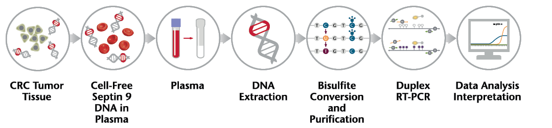 Laboratories - Epi proColon